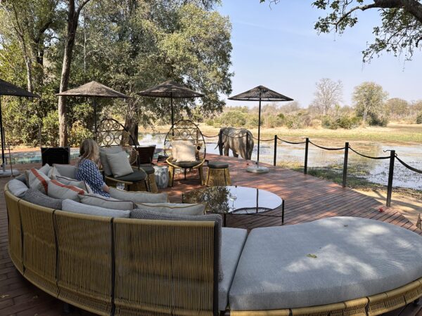 An Armchair Safari at Molori Mashuma, Mana Pools - Molori