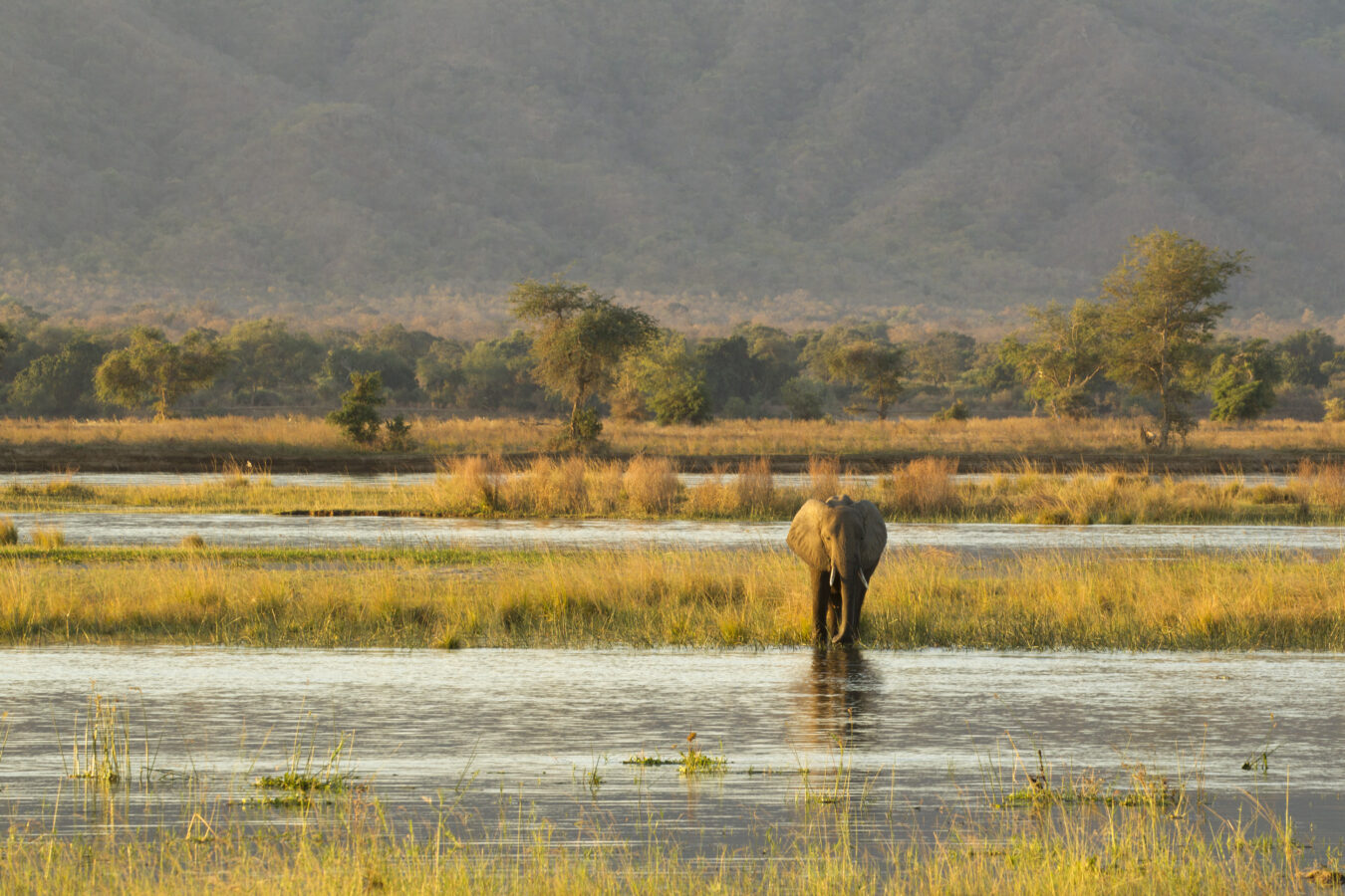 5 Lessons We Can Learn From Nature – Molori